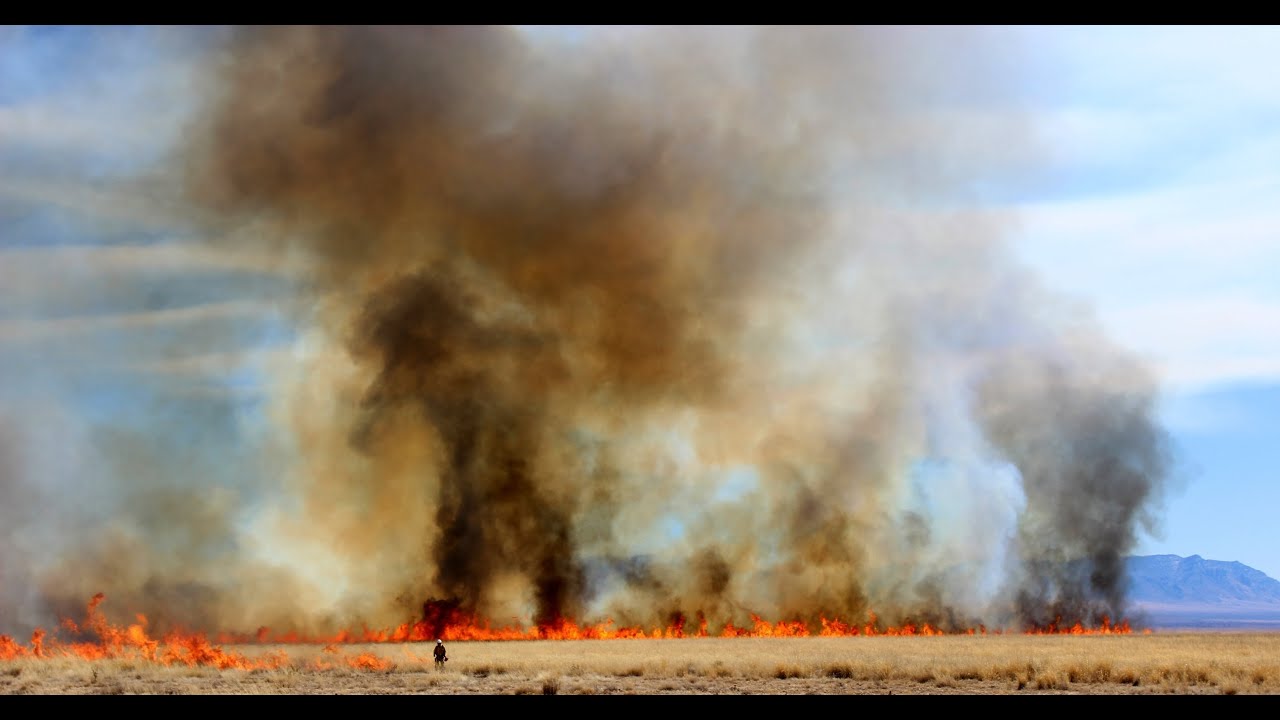 #FireYear2023 BLM Fire Employee Photo Contest - YouTube
