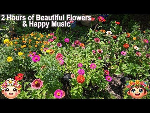 2 Hours of Beautiful Flowers and Happy Music to make your soul smile ...