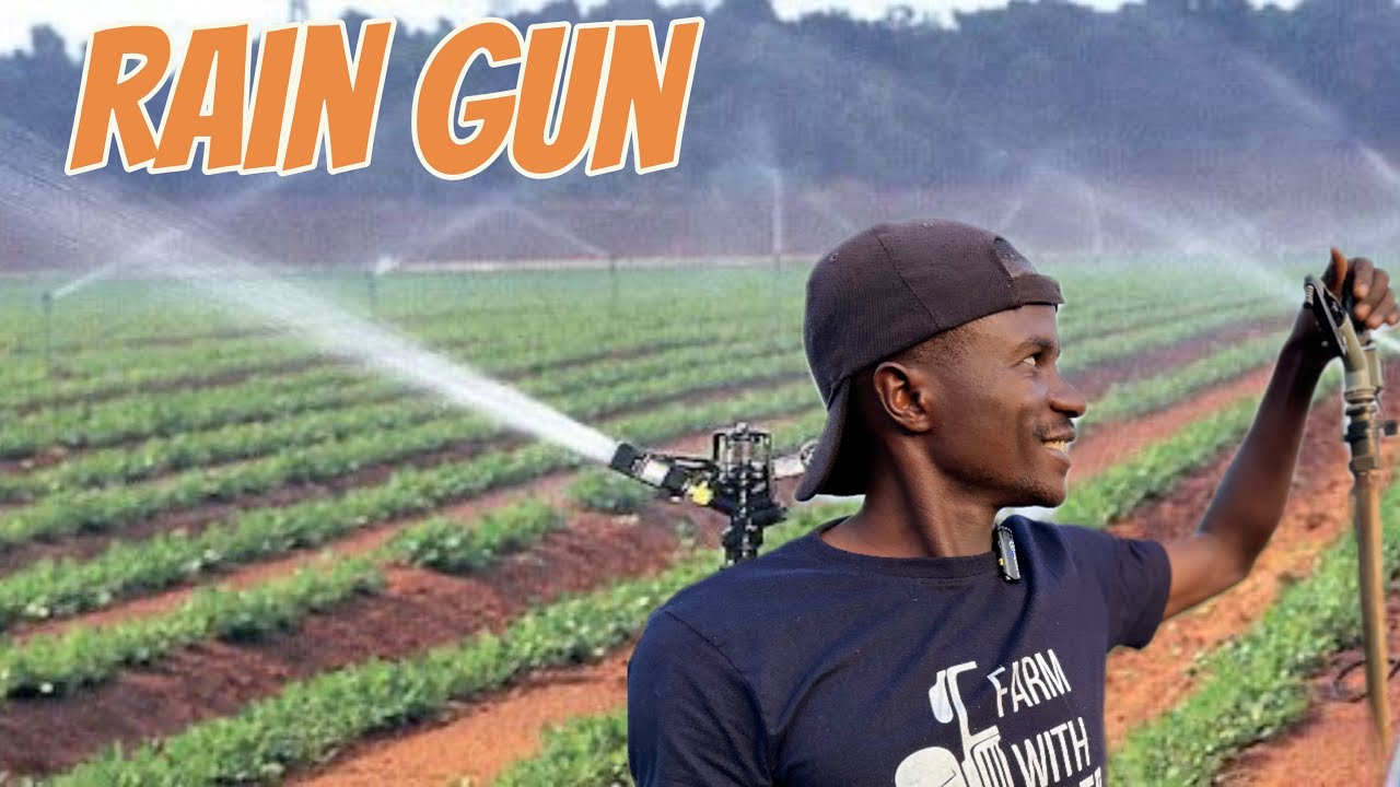 The super Rain gun i use in my farm for irrigation - YouTube
