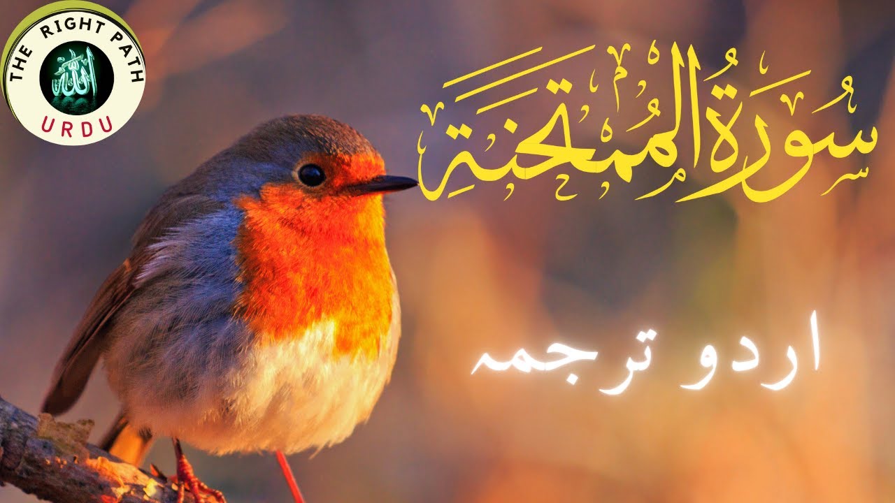 60 Surah Al Mumtahina only Urdu translation