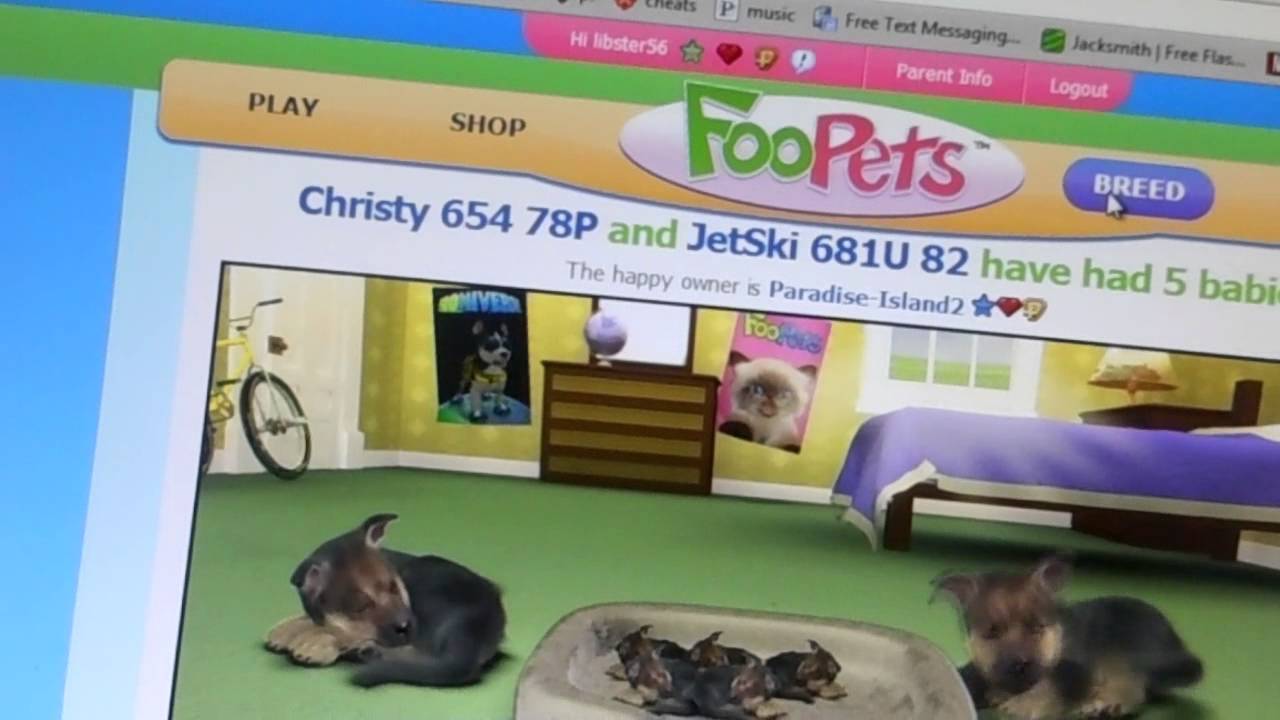 FooPets Ep 1 : A New Start - YouTube