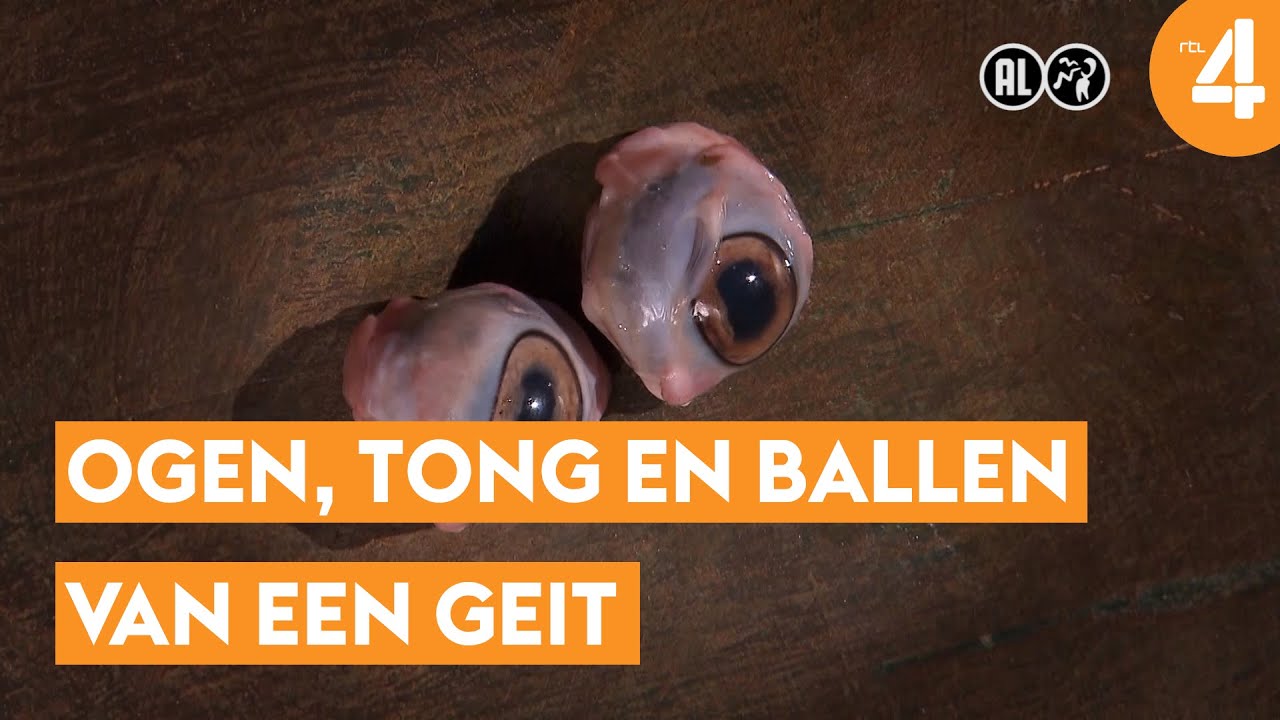 Probeer niet te kotsen: de beruchte eetproef van Expeditie Robinson ...