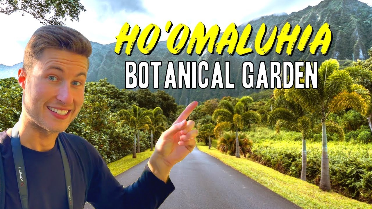 Ho'omaluhia Botanical Garden Tour & Guide | Things to Do Oahu, Hawaii ...