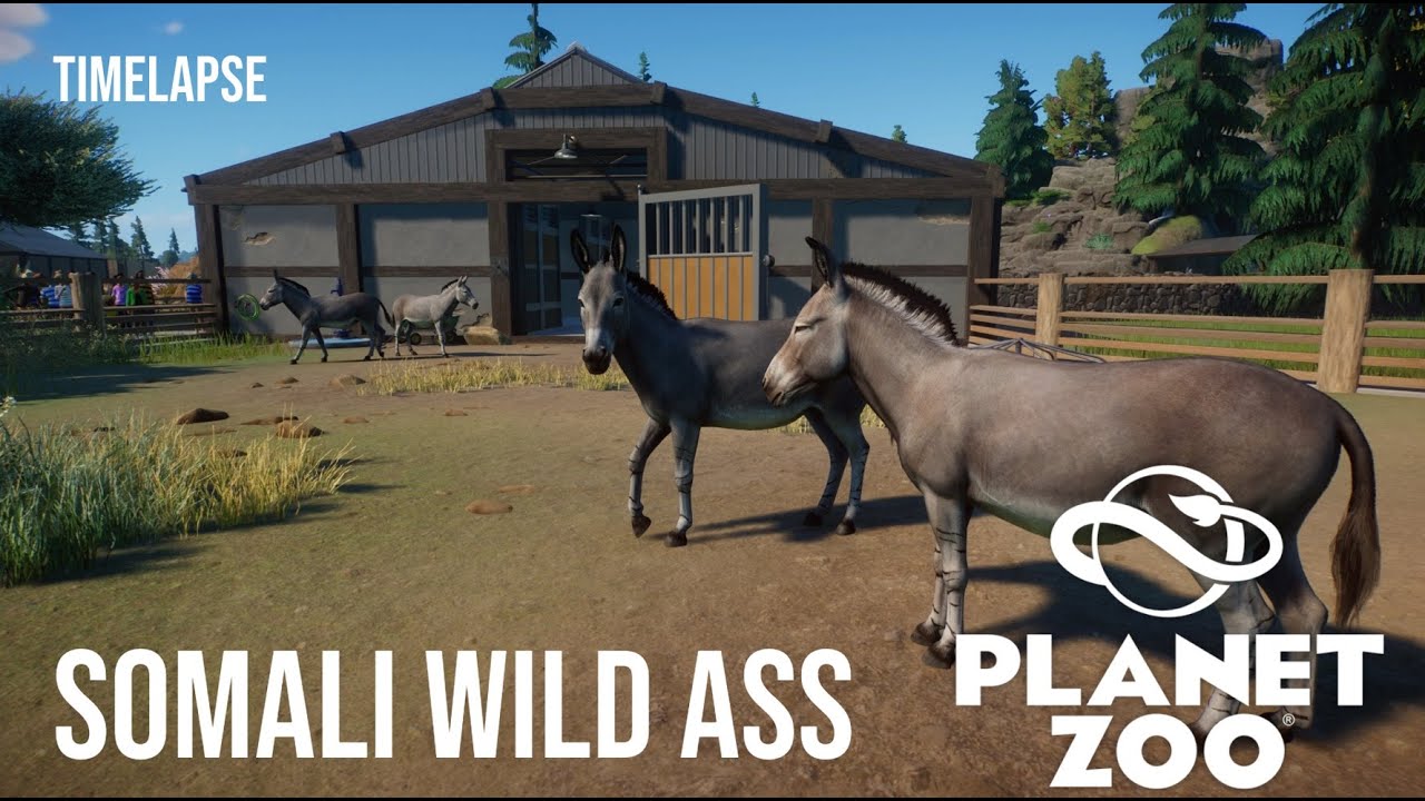 Planet Zoo Somali Wild Ass Enclosure Speedbuild - YouTube