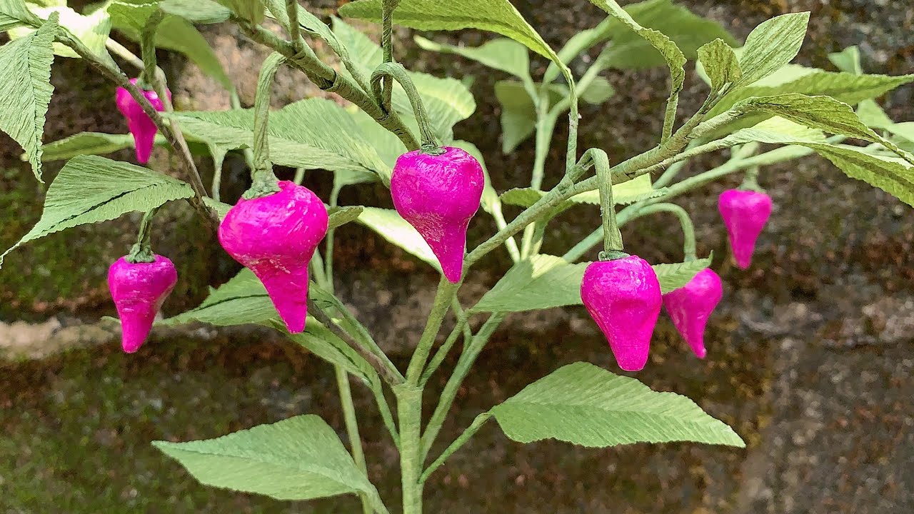 ABC TV | How To Make UFO Chilli Pepper Plant Paper - Craft Tutorial ...