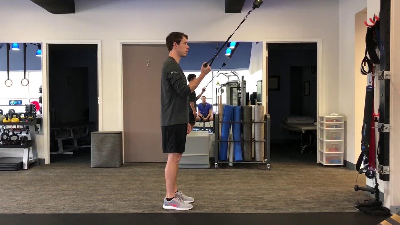 Tricep multi vector progression on ARQEX: Elite Health Services - YouTube