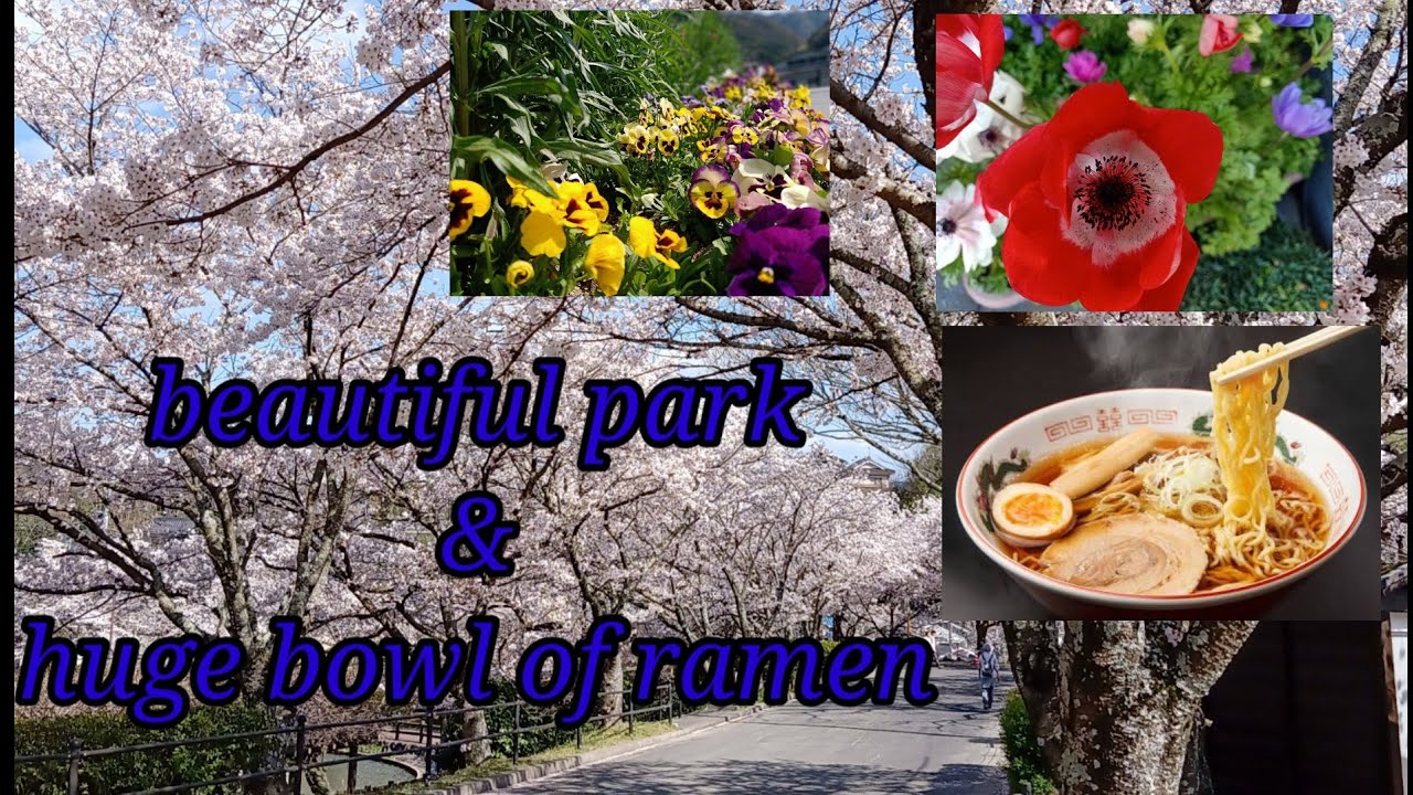Spring season: explore the beauty of japan ( fuchu park) - YouTube