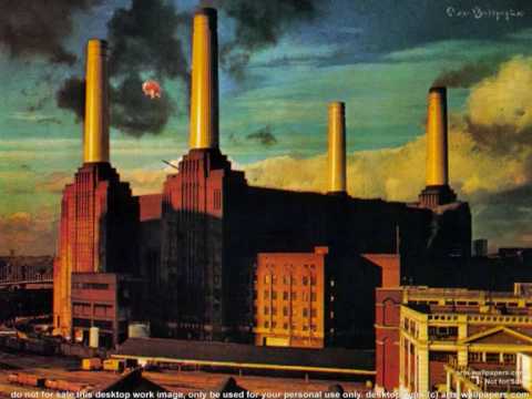Pink Floyd - Dogs Part 1 - YouTube