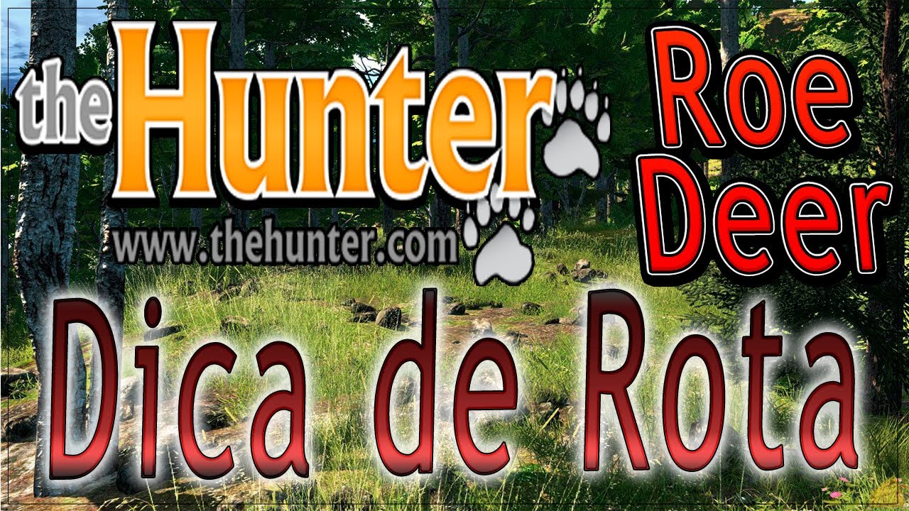 The Hunter : Dica de Rota - Roe Deer - YouTube