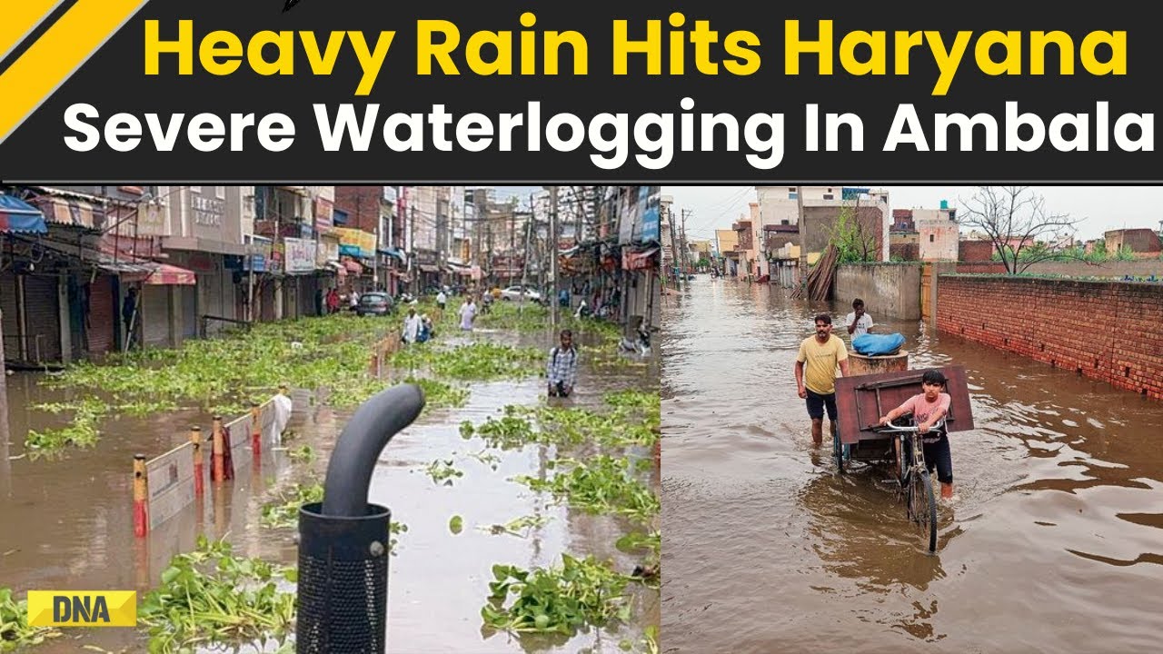 Flood Hits Haryana As Heavy Rainfall Causes Severe Waterlogging In ...
