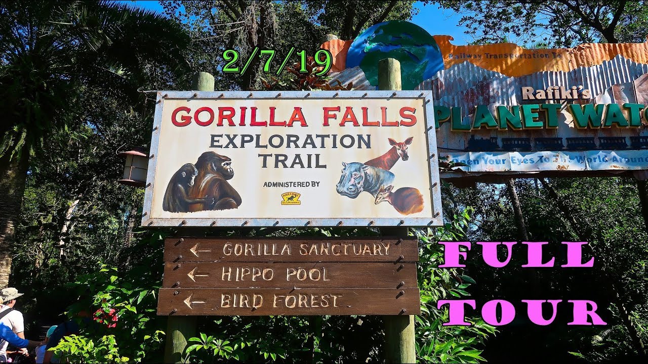 Disney's Animal Kingdom Gorilla Falls Exploration Trail Full Tour - YouTube
