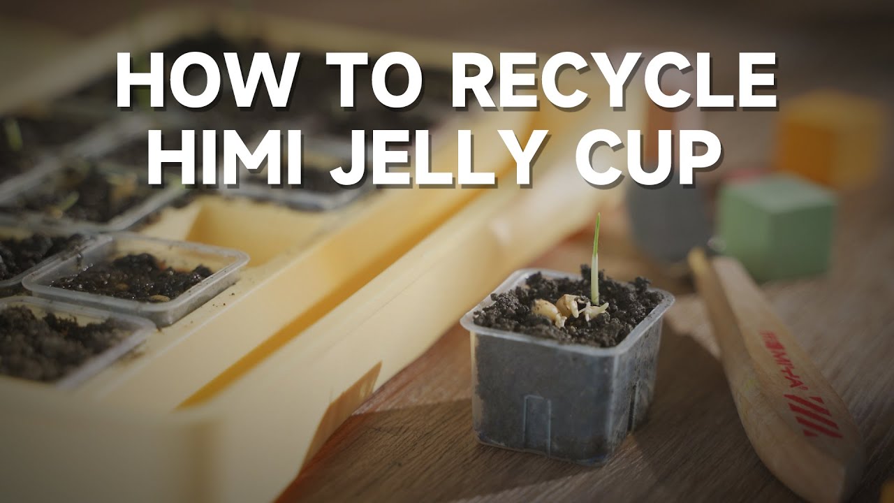 How to recycle HIMI jelly cup 丨Earth Day - YouTube