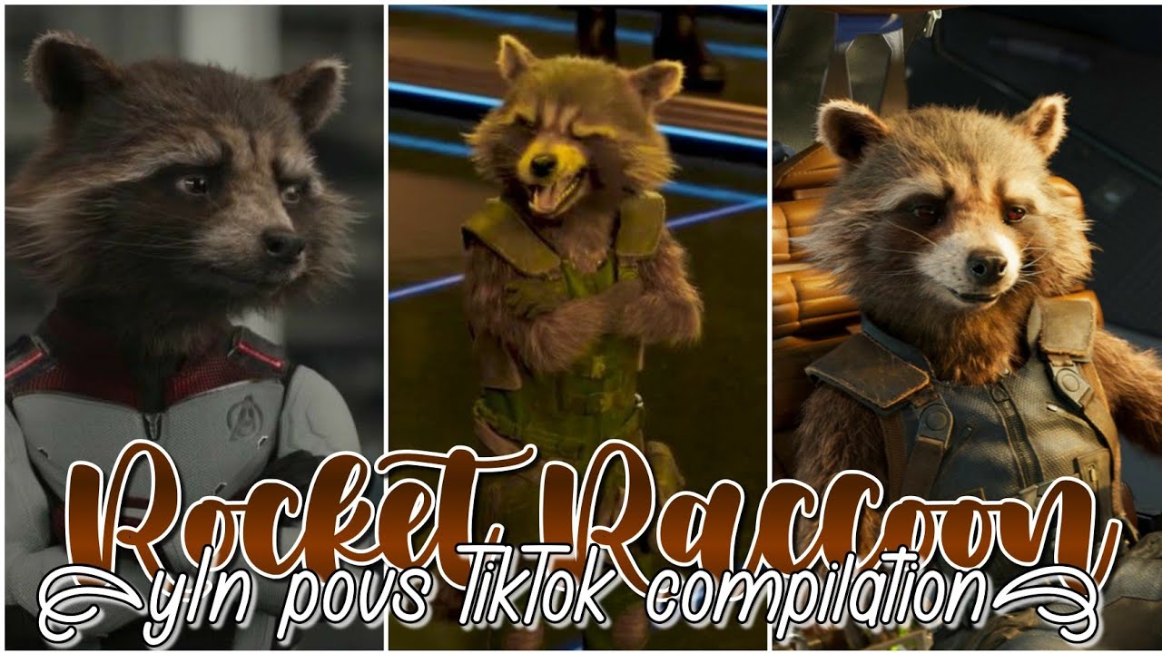 Rocket y/n povs more like Rocket x Bucky's arm povs || TikTok ...