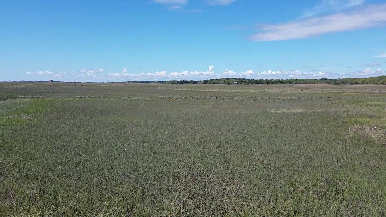 Muddy Marsh Trip - YouTube