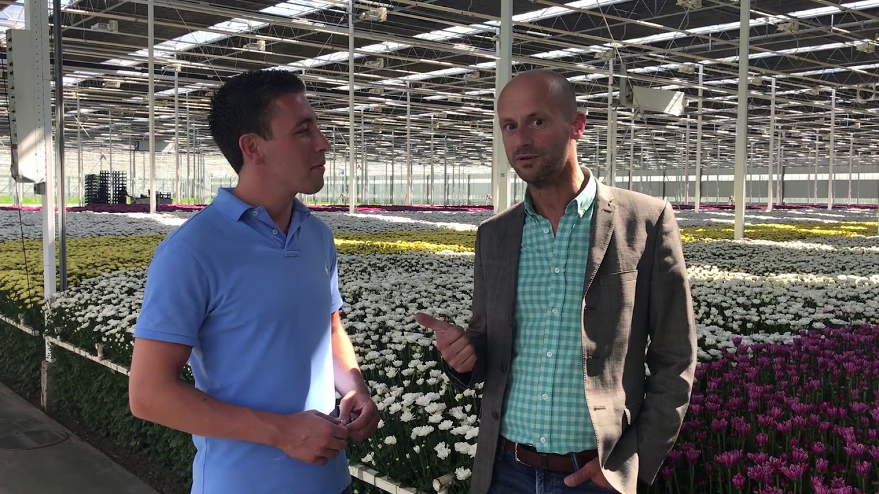 Zentoo and Grower Ambassador David Ragg - YouTube