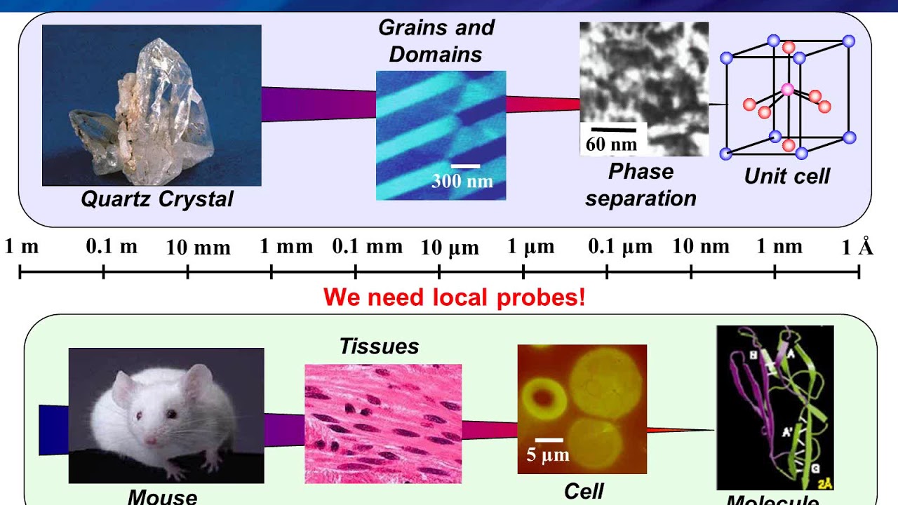 Webinar: Introduction to Piezoresponse Force Microscopy PFM - YouTube