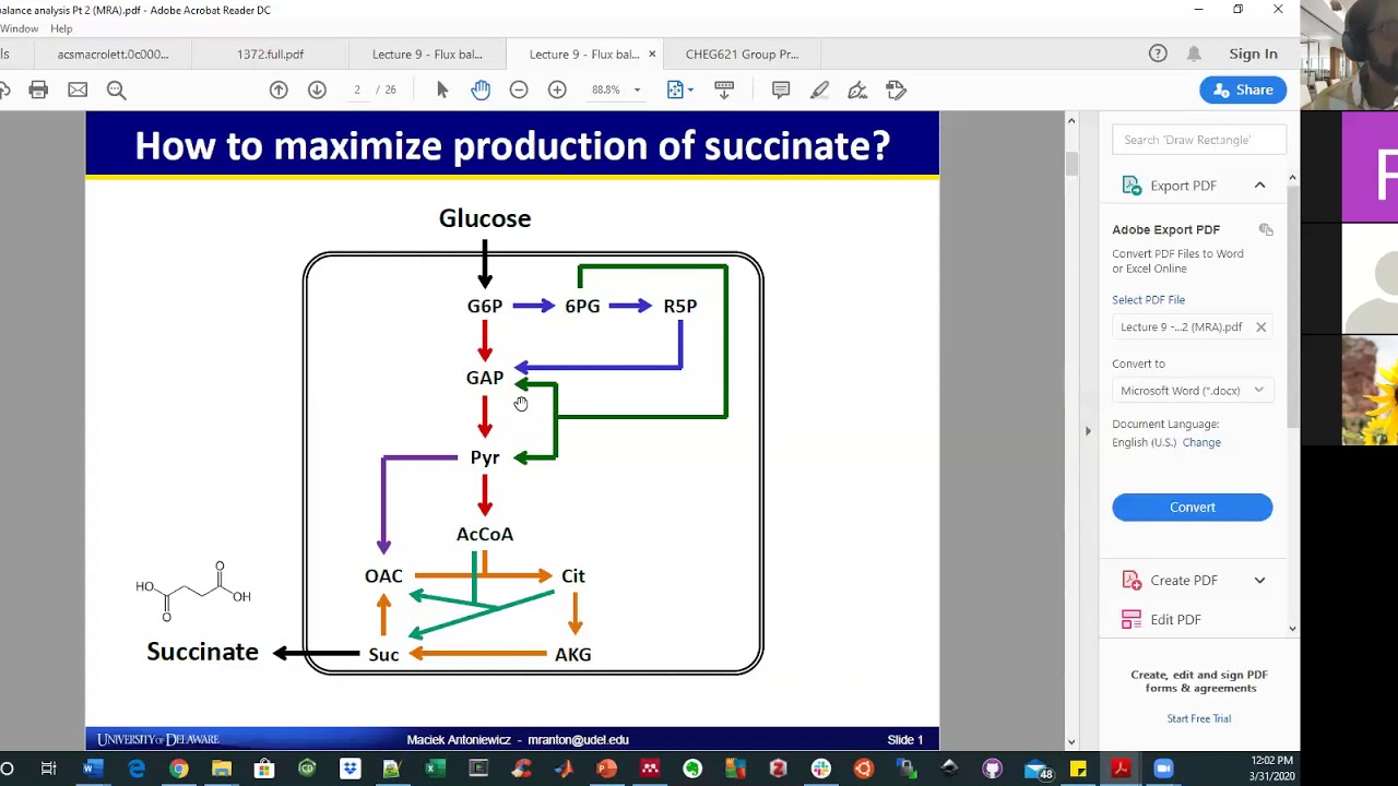 05 Intro To FBA Flux Balance Analysis Lecture 11 Metabolic 05-intro-to-fba-flux-balance-analysis-lecture-11-metabolic
