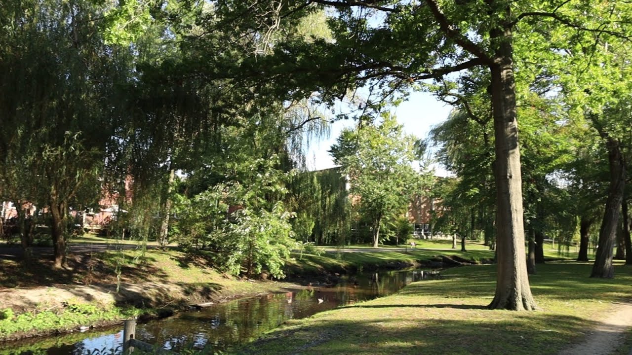 Valley Stream State Park, NY Garden and Trail walk. - YouTube