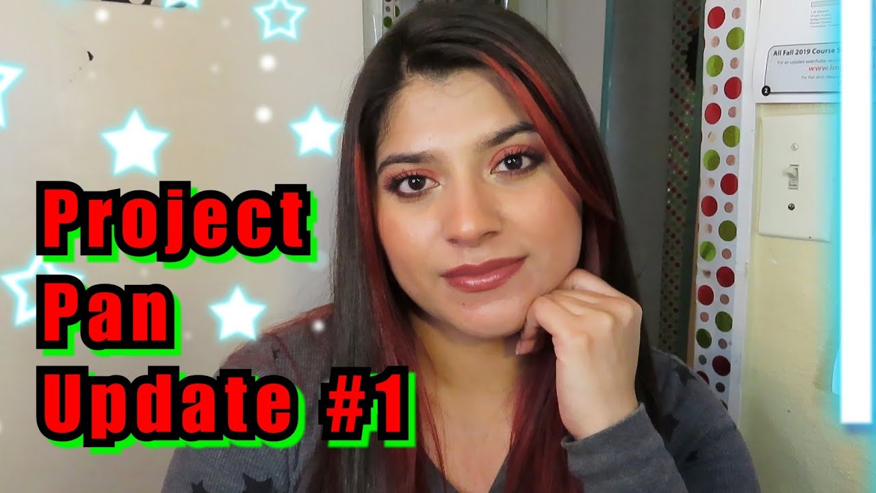 Project Pan Update 1 - YouTube