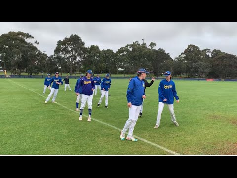 Sandringham baseball club put up a demolishing performance to get up ...
