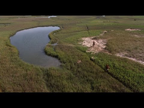 Cyborg - Swamp Chase [HD]