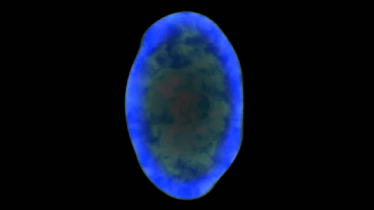 Portal VFX (Blue Portal) Stock Footage FREE DOWNLOAD! 1080p HD VFX ...