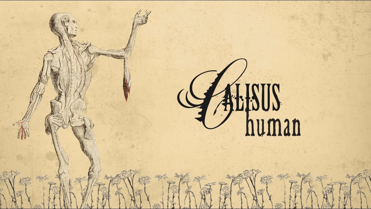 Calisus - Human [Official Lyric Video] - YouTube Music