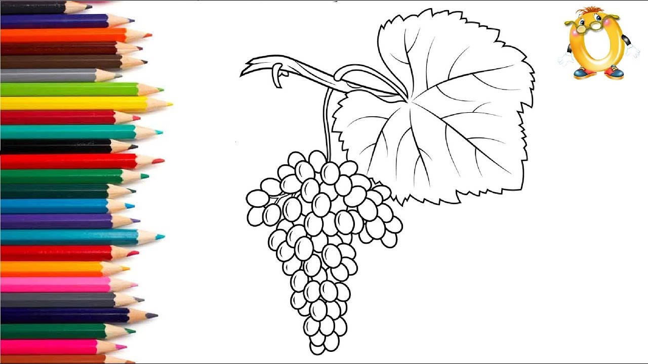 Grapes coloring and drawing Learn Colors for kids. - YouTube