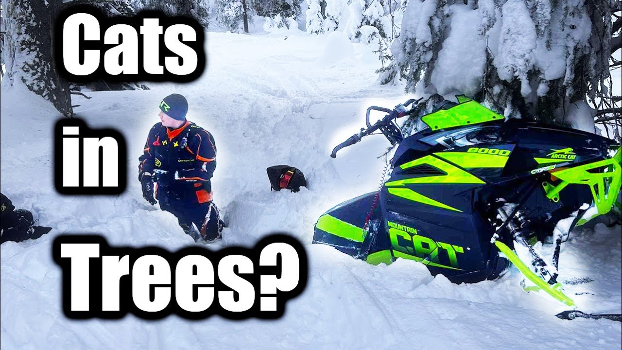 Tree Riding on the Last Day ║ West Yellowstone Snowmobiling - YouTube