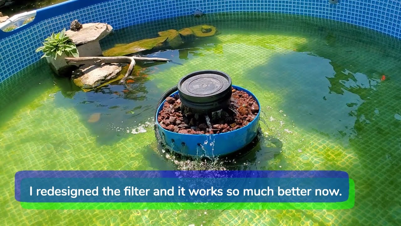 We Turned Our INTEX Pool Into A Backyard Fish Pond with Rainbow Trout ...