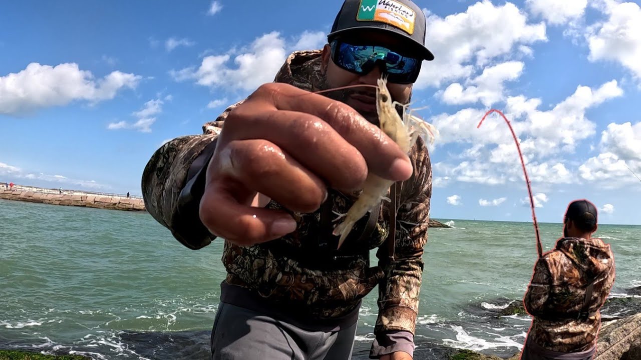 Jetty Fishing With Live Shrimp! (Catch and Cook)* Packery Channel - YouTube