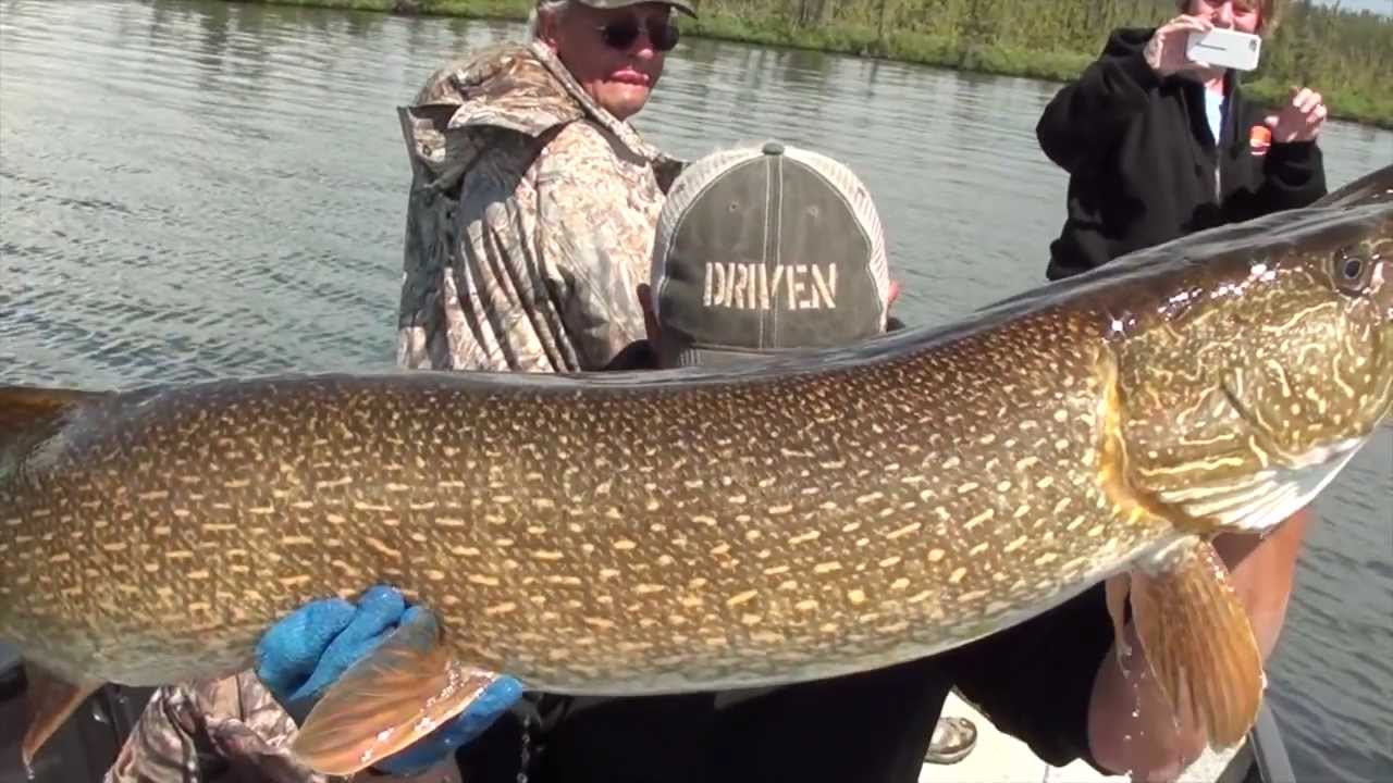 BIG FISH - YouTube