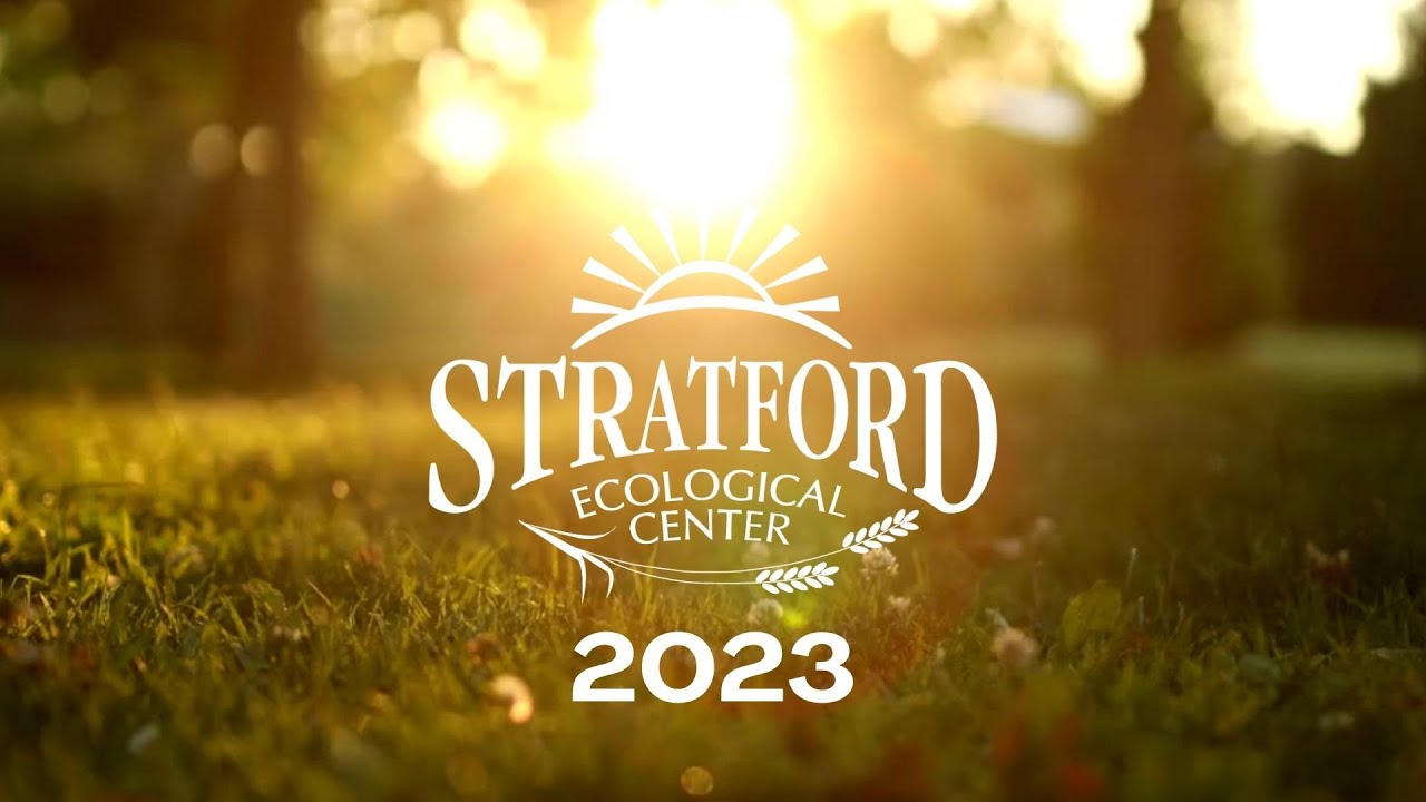 2023 Highlights - YouTube