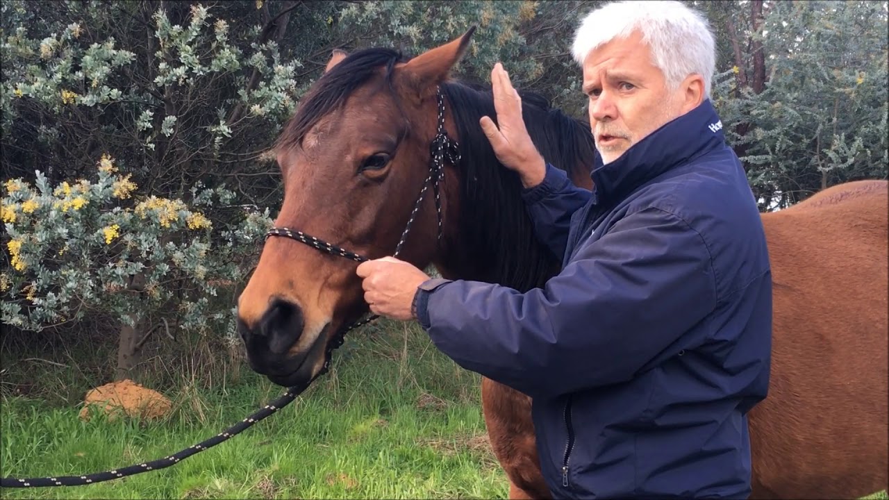 Acupuncture Oriented Energy (AOE) Treatment by Dr Christian Torp ...