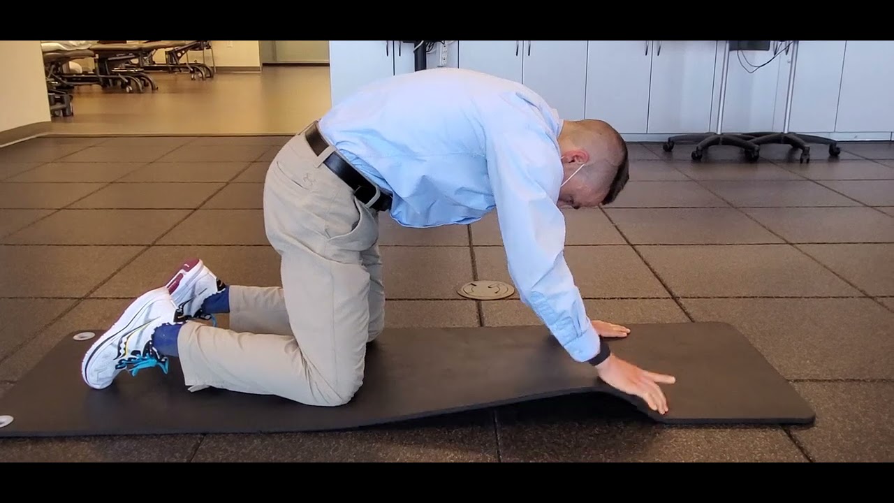 Lumbar - Mobility - Cat Camel Flexion Extension Exercise - YouTube