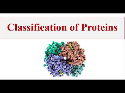 Classification of proteins based upon families and domains - YouTube