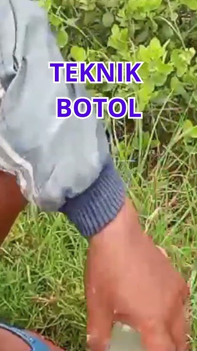 Mancing ikan belanak dengan teknik botol. - YouTube