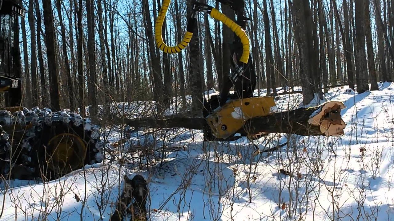 TimberHeads TH24D - YouTube