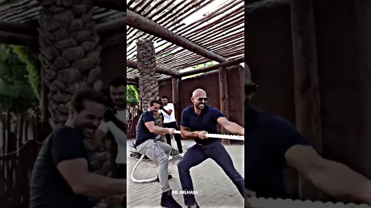 andrew tate vs tiger - YouTube