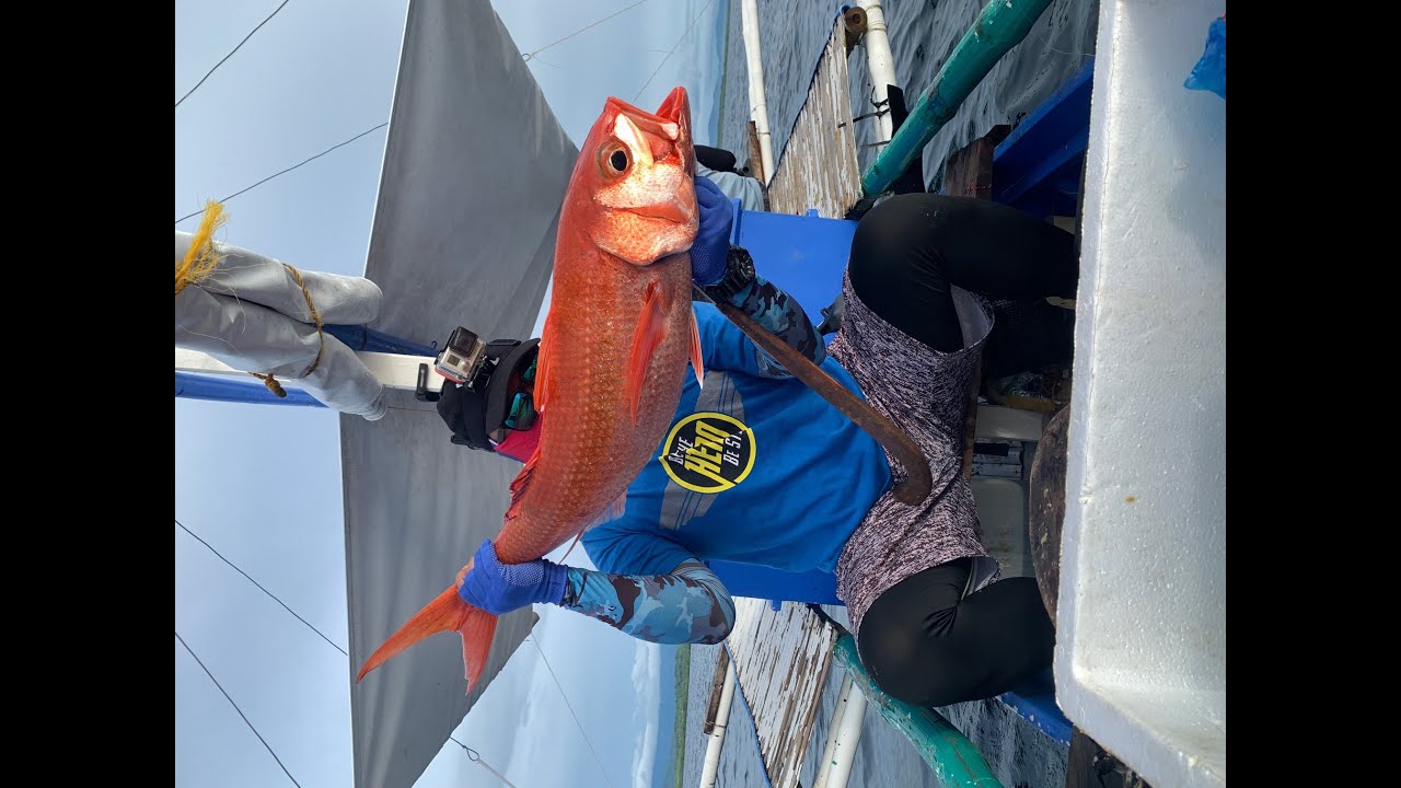 7.5kg Ruby Snapper | Fish unlocked | Deep sea jigging at 200 meters and ...