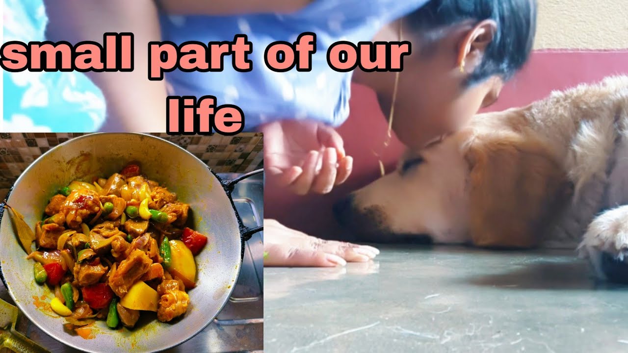small part of my daily life with my Micky 😹 - YouTube