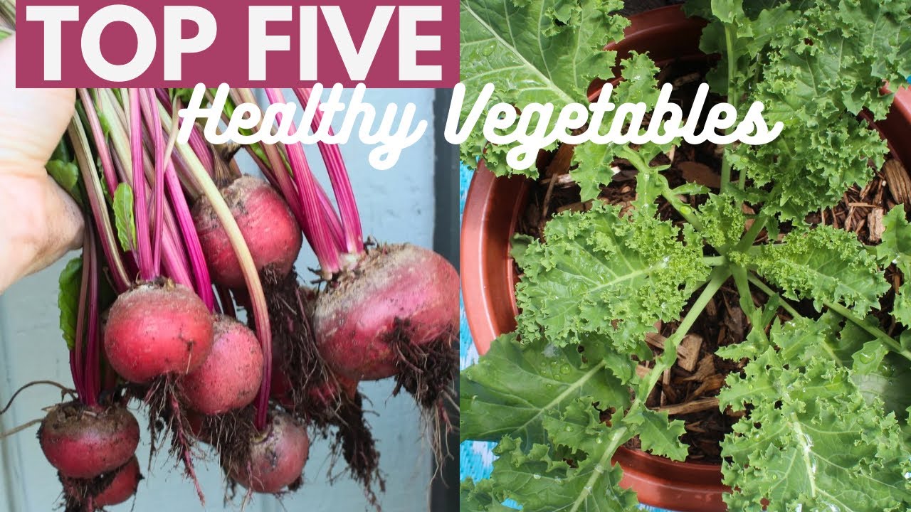5 HEALTHIEST Vegetables to Grow in Containers | Nutrients, Health ...