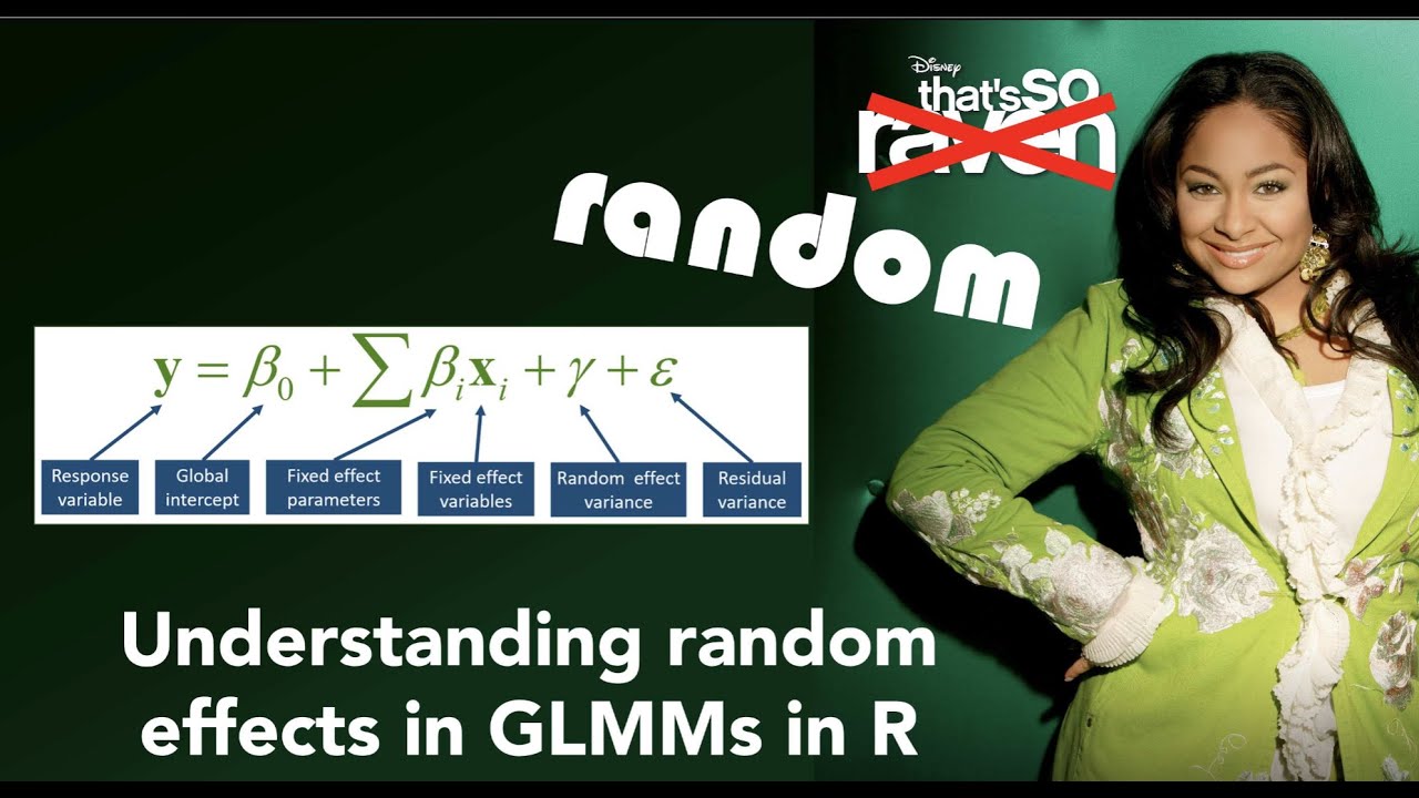 Having Fun With Random Effects In Mixed Models GLMMs YouTube Having Fun With Random Effects In Mixed Models GLMMs YouTube