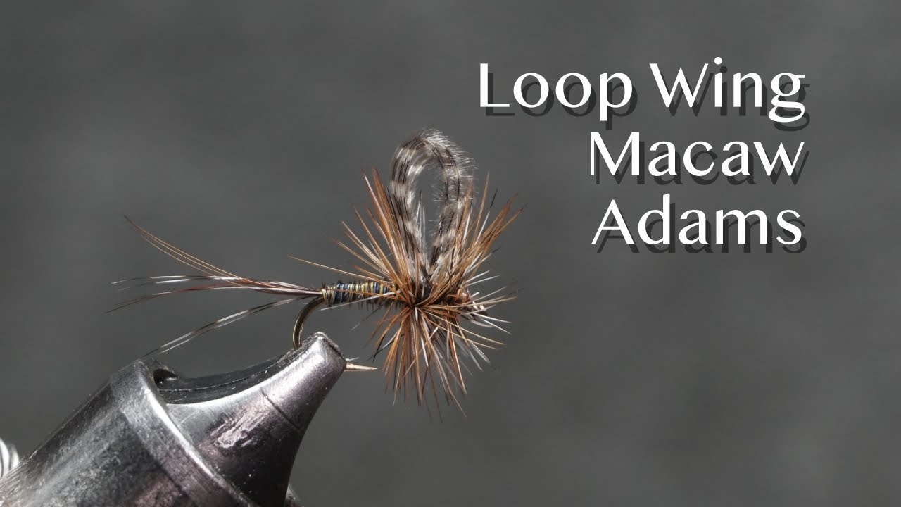 Loop Wing Macaw Adams: an Andre’ Puyans dry fly pattern - YouTube