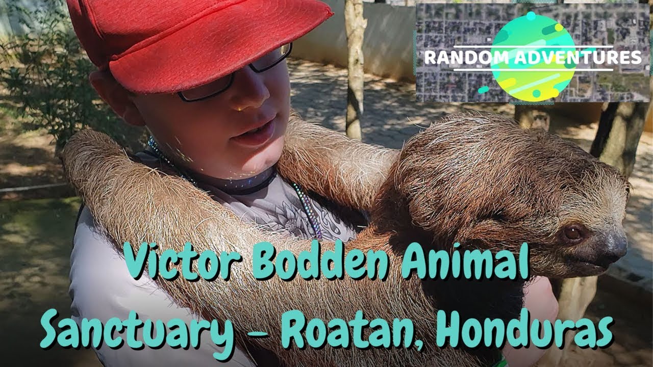 Victor Bodden Animal Sanctuary - Roatan, Honduras - YouTube