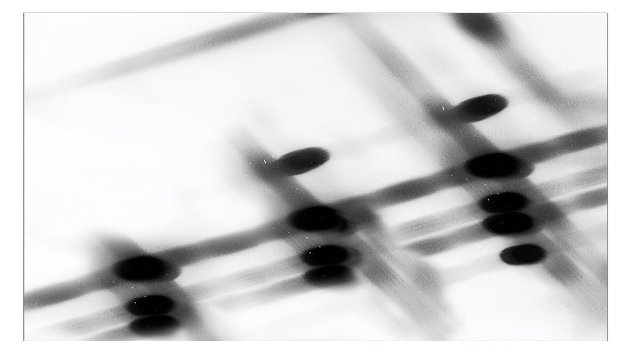 Gregor Samsa - 27:36 [Full EP] - YouTube