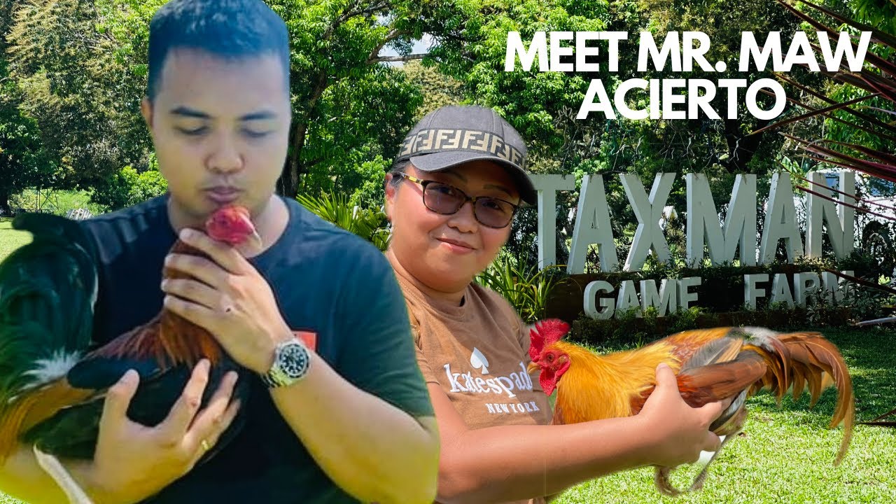 GETTING TO KNOW MAW ACIERTO OF TAXMAN GAMEFARM | PRODUCER OF ESCOLIN ...