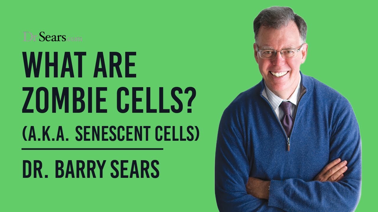 What are Zombie Cells (a.k.a. Senescent Cells)? - YouTube
