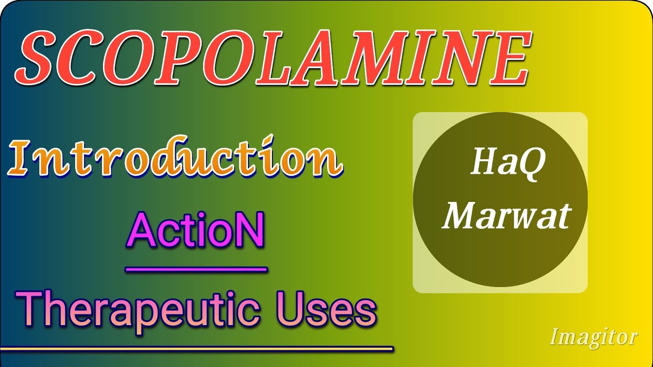 SCOPOLAMINE; An Introduction, it's Action and Therapeutic Uses - YouTube