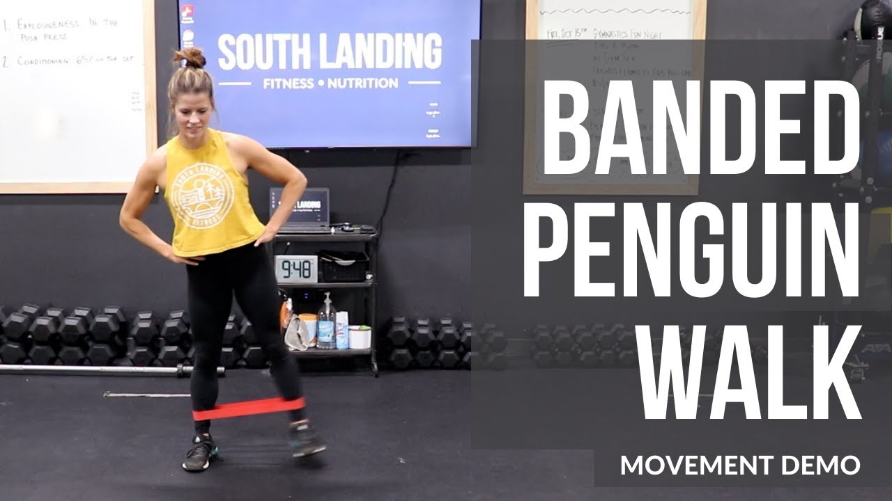 Banded Penguin Walk Movement Demo - YouTube